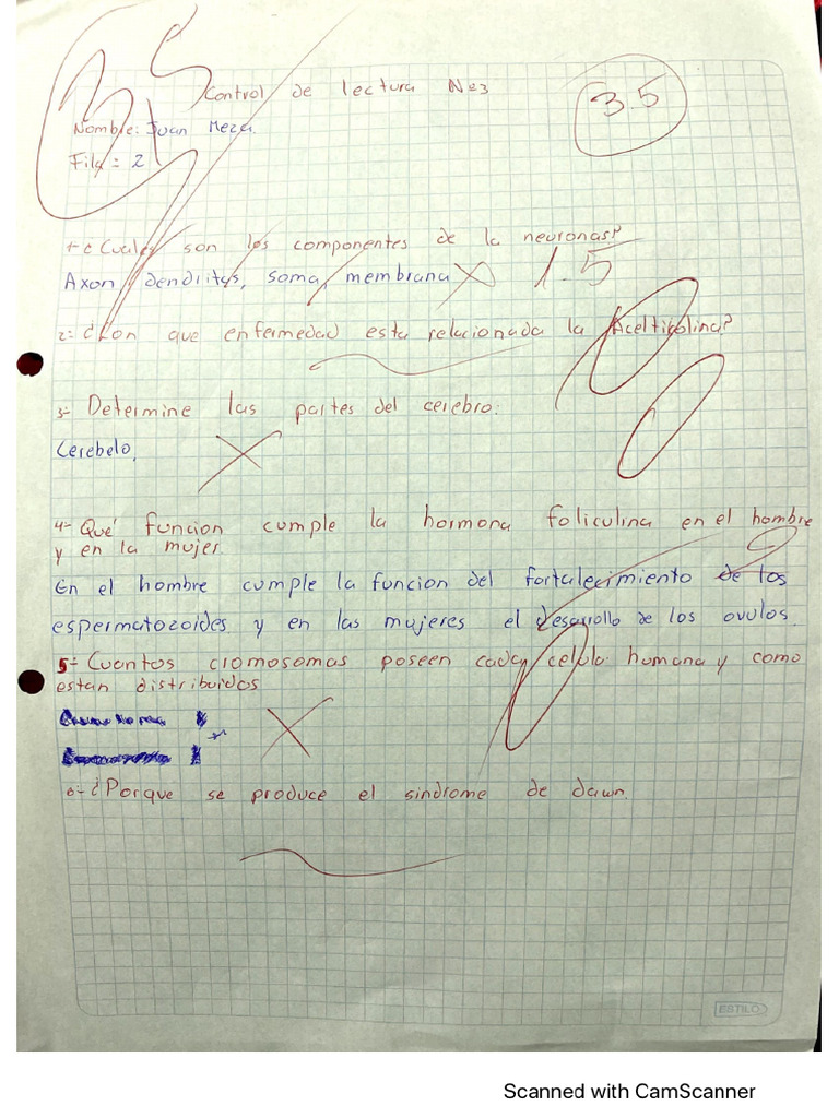 Control de Lectura N - 3 | PDF