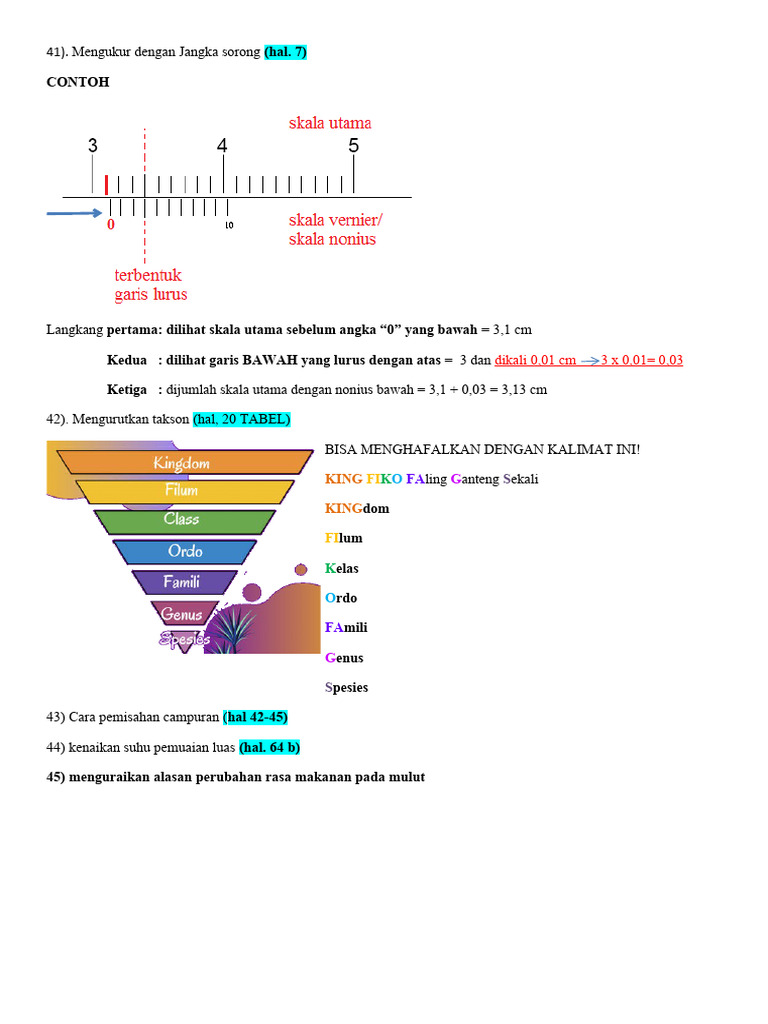Contoh: King King | PDF