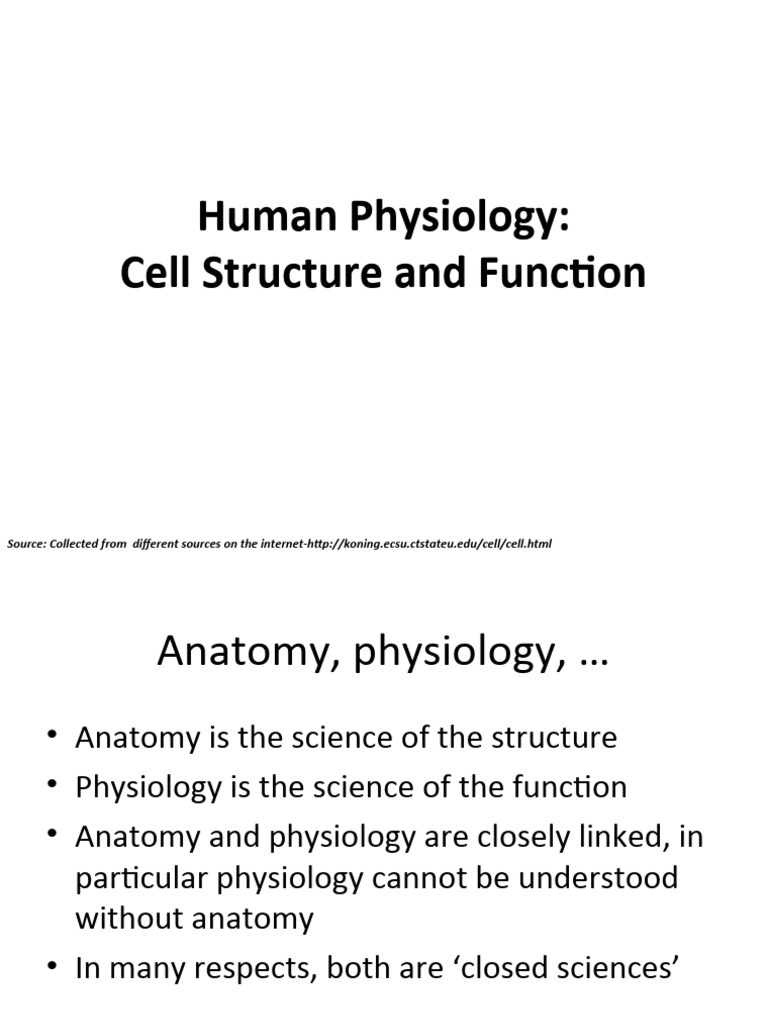 Human Physiology Cell Structure Function I Lecture | PDF | Endoplasmic ...