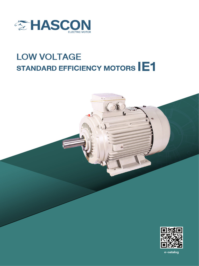 Catalog Hascon IE1-Motor | PDF | Electric Motor | Belt (Mechanical)
