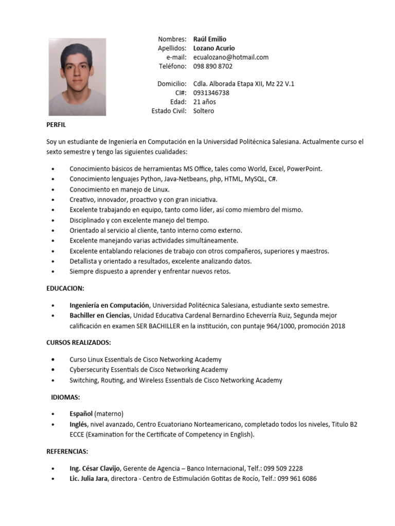 CV Raul Lozano | PDF