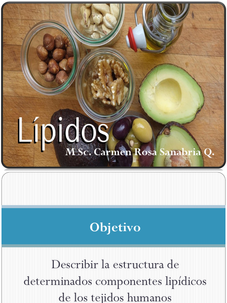 Estructura de Los Lípidos | PDF | Lípido | Triglicéridos