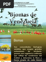 Evolución de Las Formas Precelulares | PDF | Organismos | Eucariotas