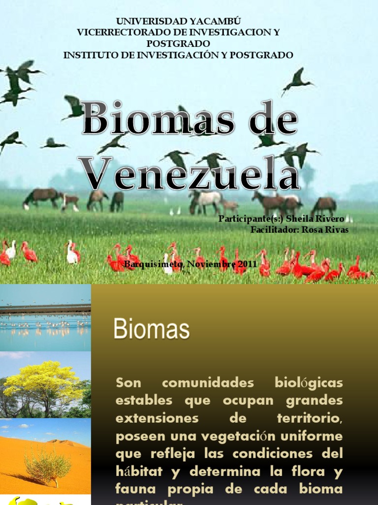Biomas de Venezuela - Copia | Mangle | Selva