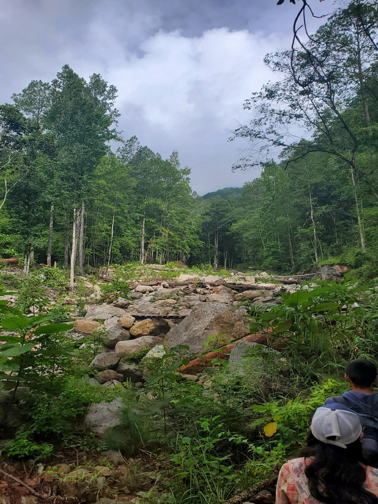 Scan 03 Abr. 24 20 41 40 | PDF