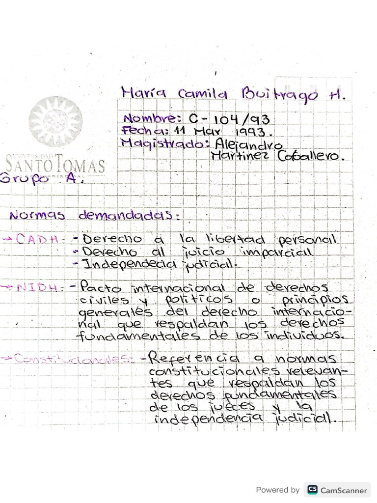 Documento de Cami | PDF