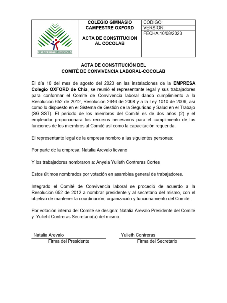 Formato Acta de Constitucion Del Cocolab | PDF