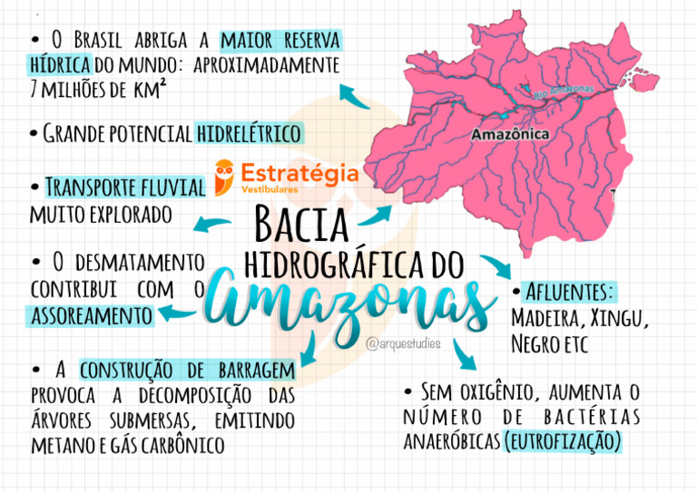 Mapa Mental_ Bacia Hidrográfica do Rio Amazonas - Geografia | PDF