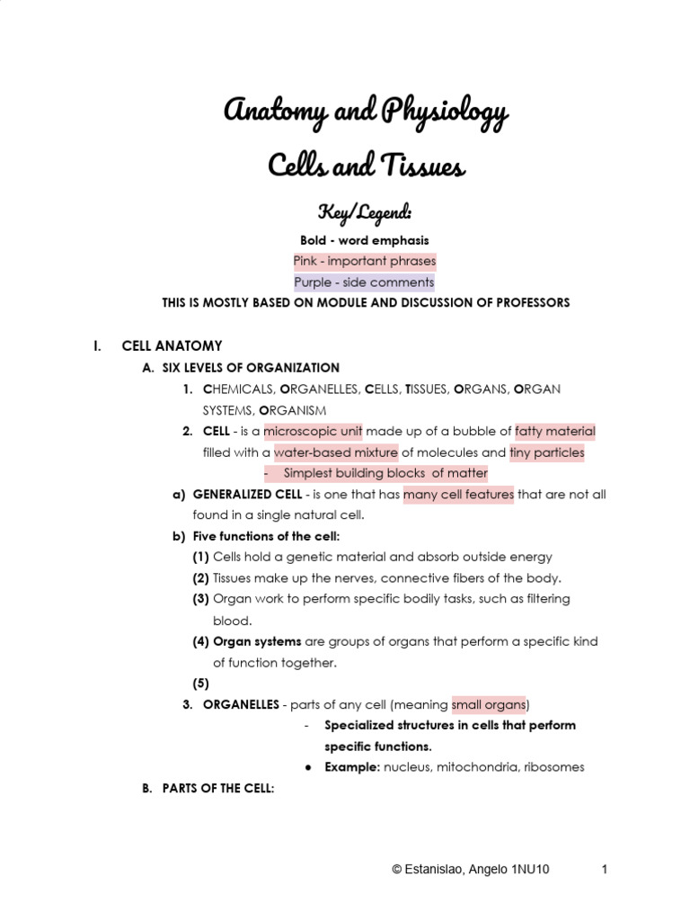 Anaphy Cells and Tissues Notes | Download Free PDF | Epithelium ...
