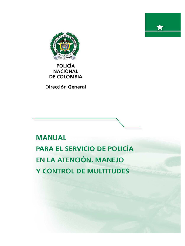 REglamento de lso tombos para el control de multitudes | PDF