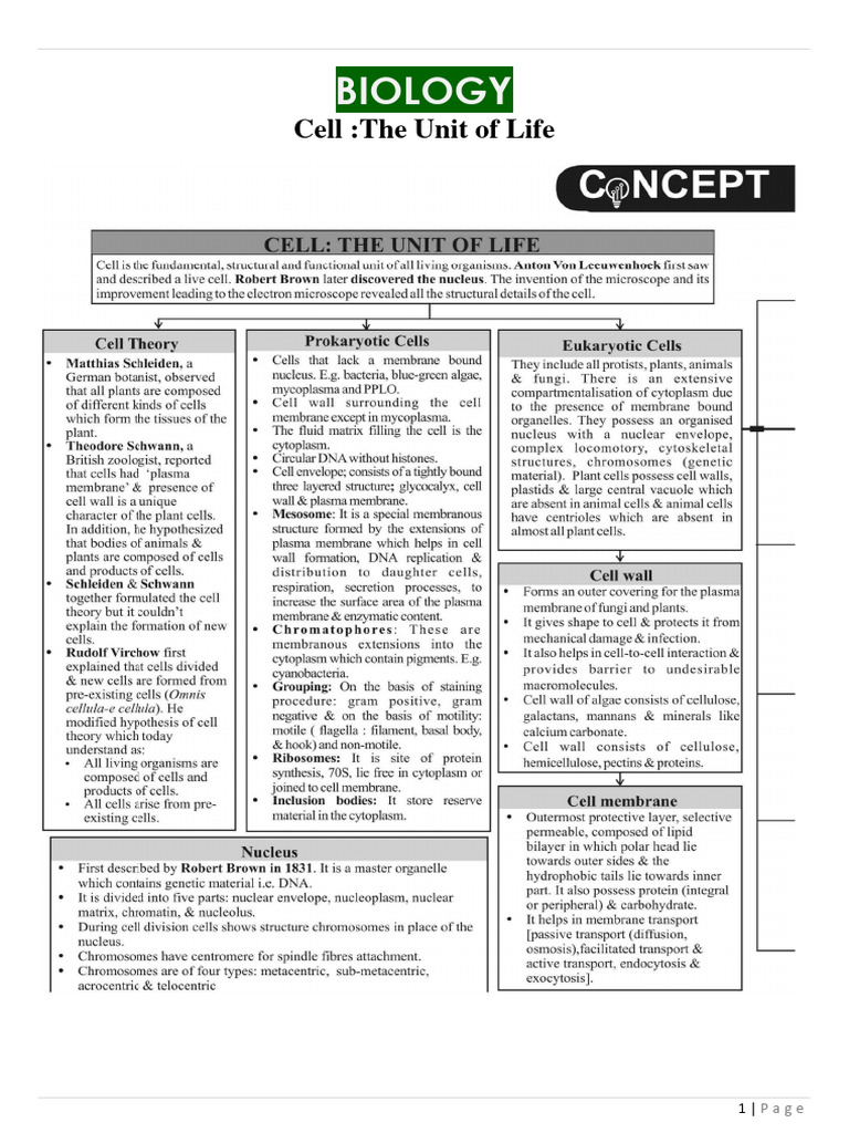 8.cell The Unit of Life | PDF | Cell (Biology) | Endoplasmic Reticulum
