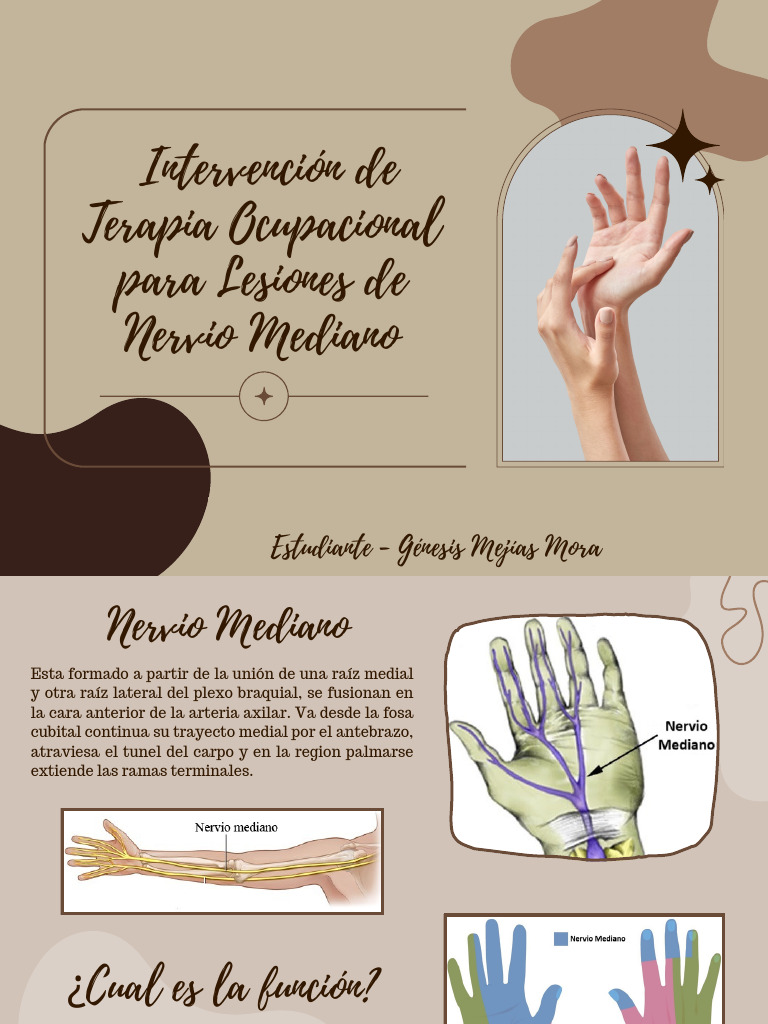 Intervención en Lesiones del Nervio Mediano | PDF | Síndrome del túnel ...