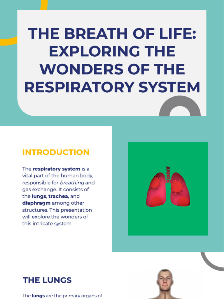 Wepik The Breath of Life Exploring The Wonders of The Respiratory ...
