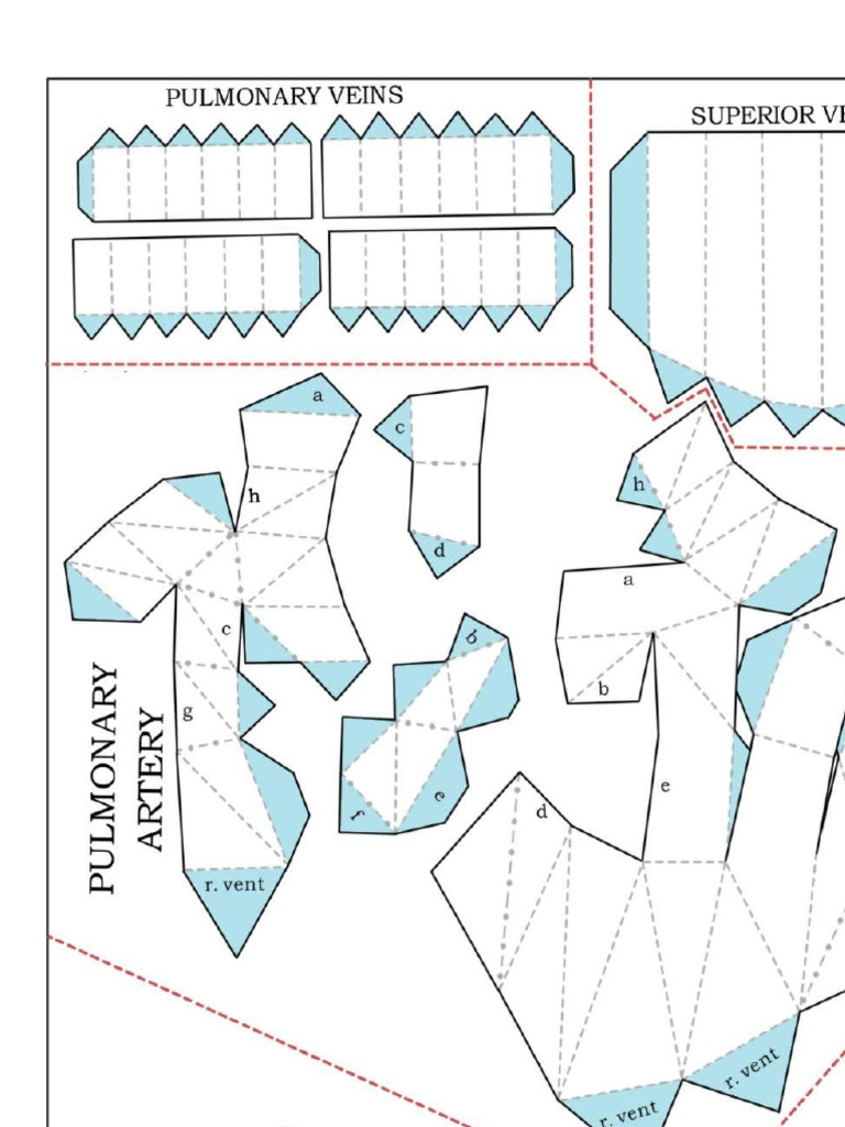 Print Template | PDF