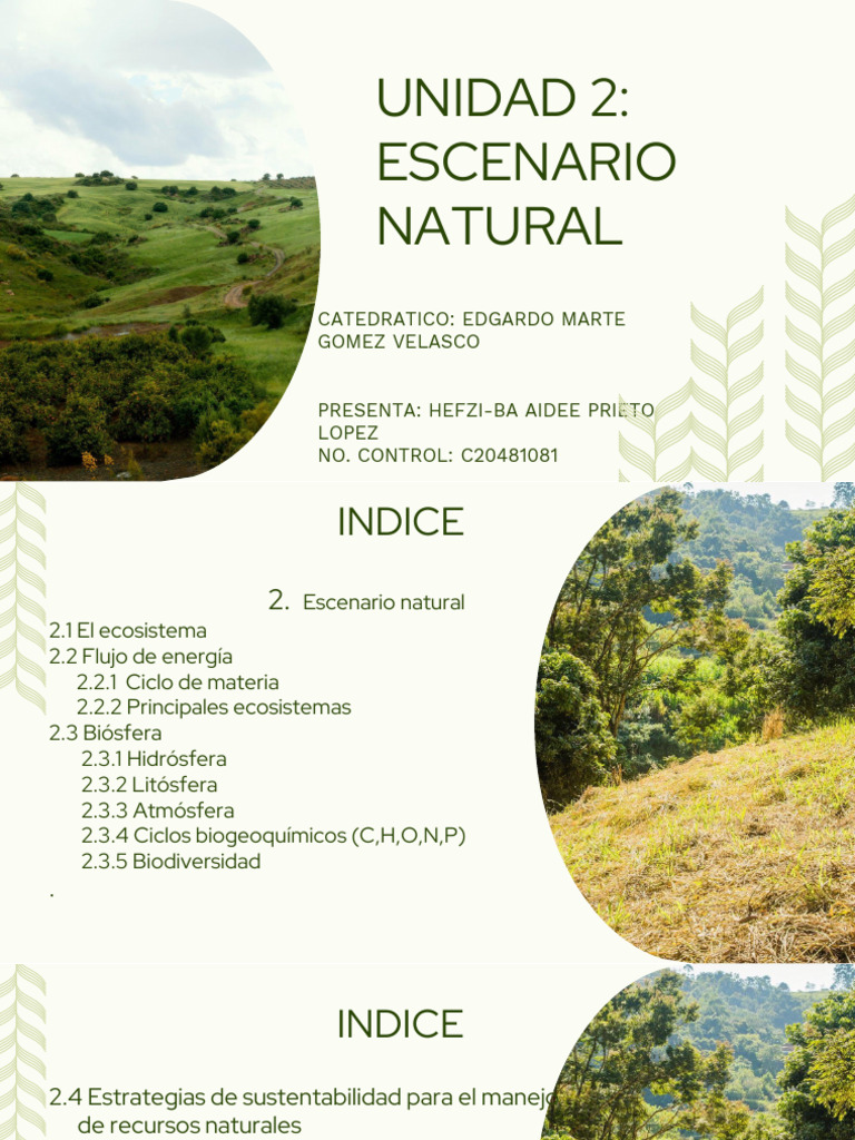 Presentacion Unidad 2 | Descargar gratis PDF | Biodiversidad | Ecosistema