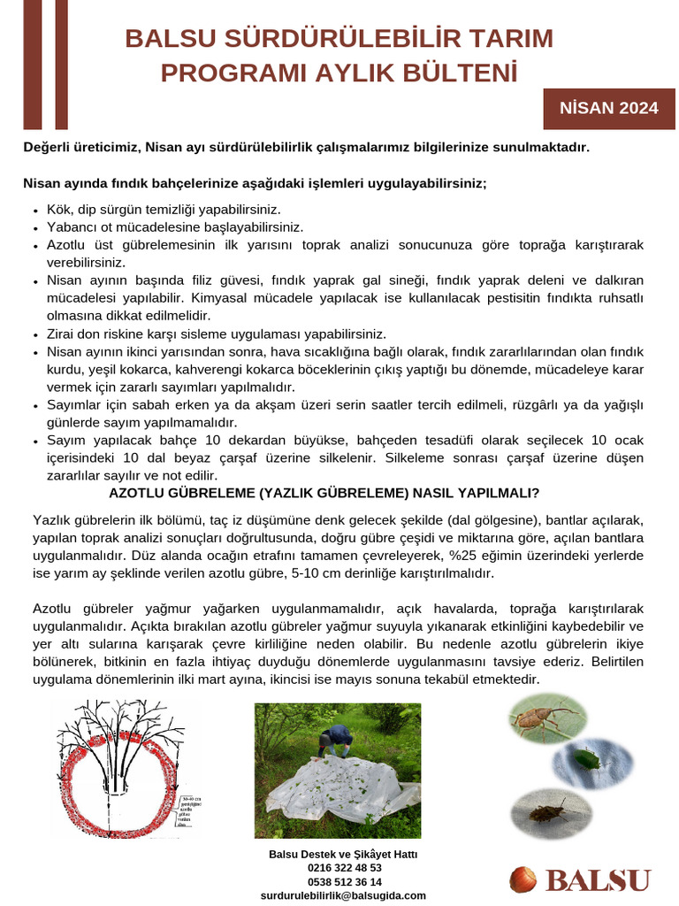 Fnaf Ultimate Guide | PDF