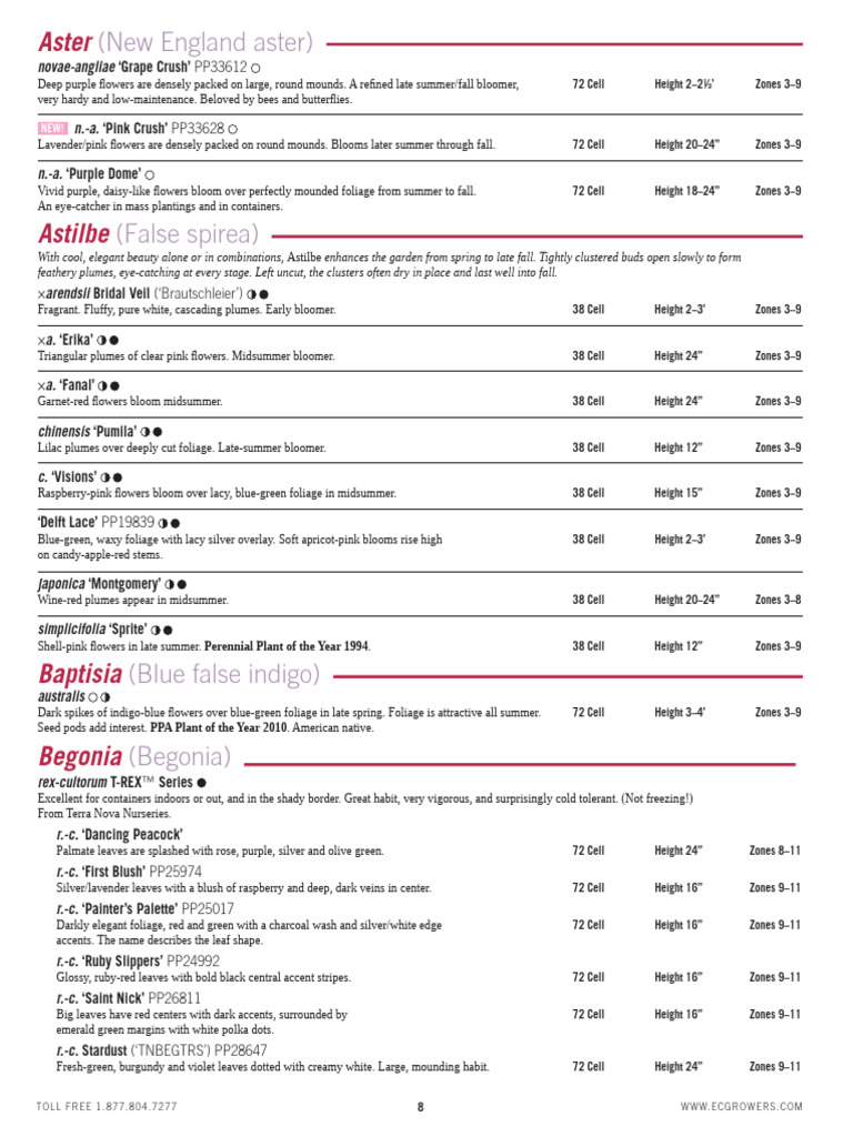 Ecg Catalog 2023-24 Download | PDF | Leaf | Plants
