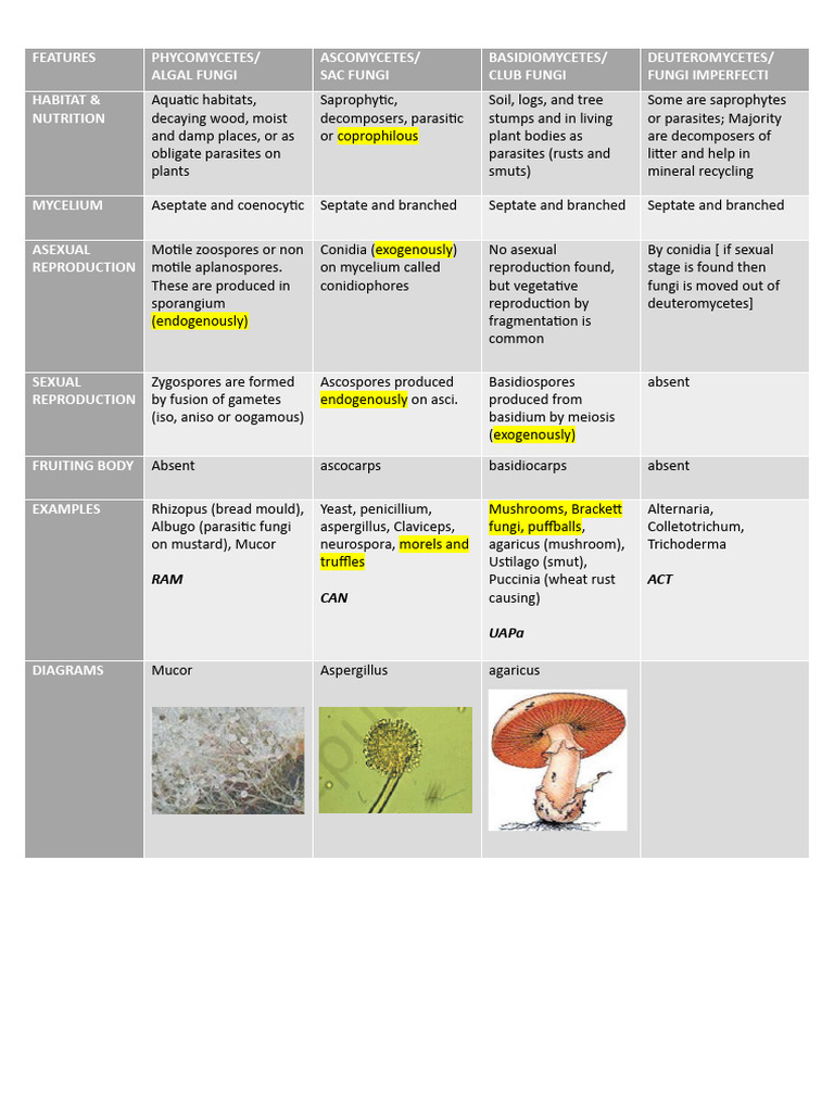 Fungi Table | PDF | Fungus | Organisms