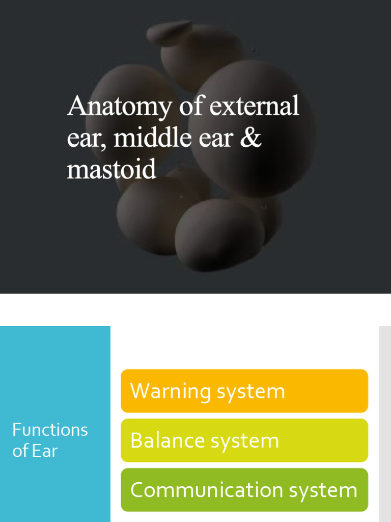 Anatomy of External Ear, Middle Ear and Mastoid | Download Free PDF ...