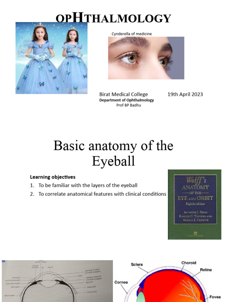 Anatomy-Physiology Eyeball 2023 | PDF | Visual System | Cornea