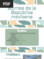 Biomas de México y sus características | PDF | México | Desierto