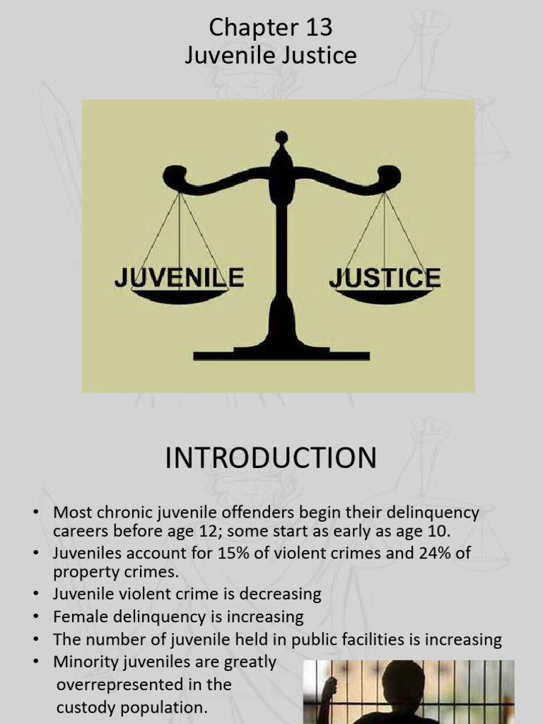 Juvenile Justice System Overview | PDF | Juvenile Delinquency ...