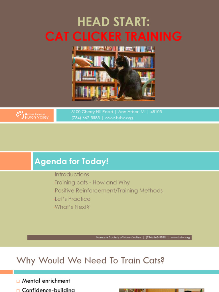 Cat Headstart Clicker Training | PDF | Reinforcement | Animal Training