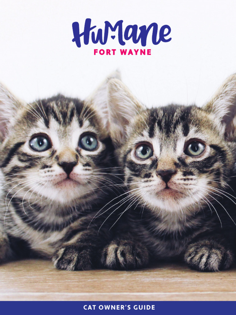 Cat Book | PDF | Cats | Animals And Humans