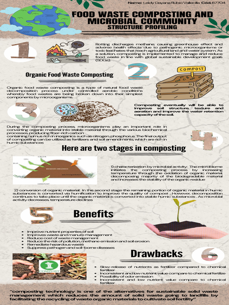 Compost Infographic | PDF