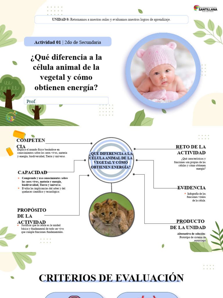 2do Sec - UNIDAD 0 - Actividad 1 - CyT Explica 2024 | PDF | Organismos ...