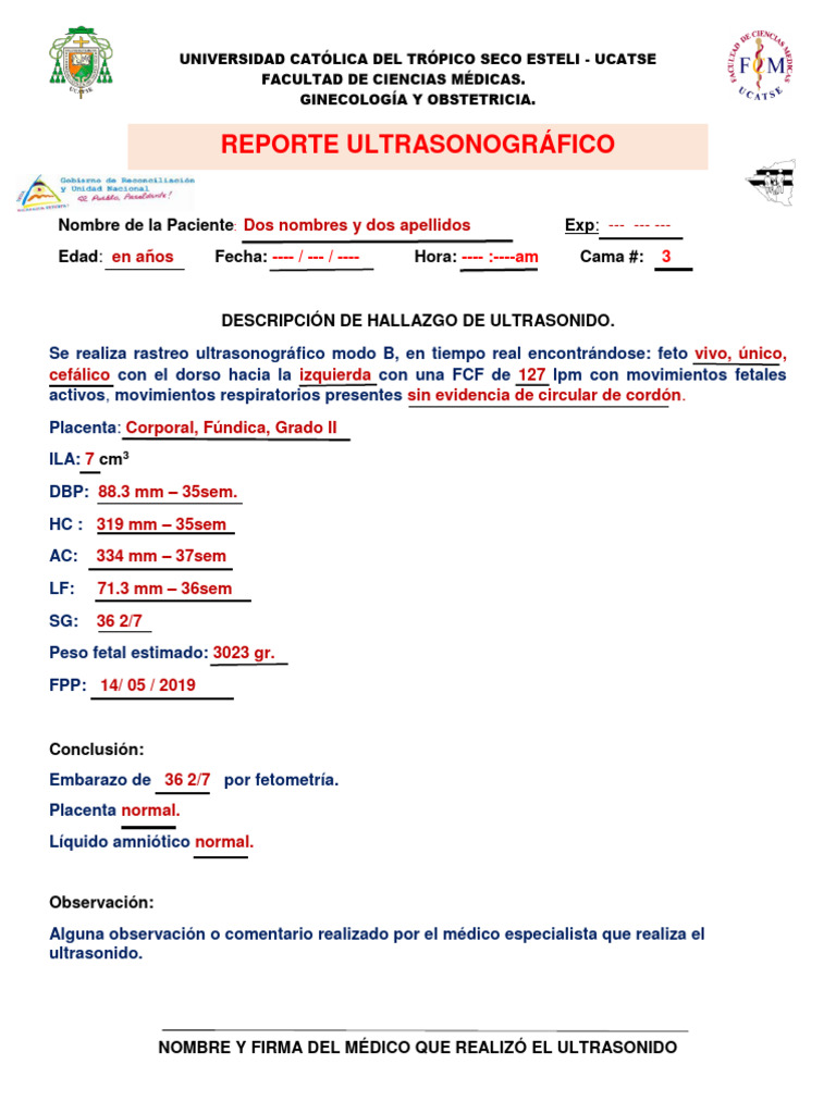 Reporte Ultrasonografico Individual | PDF