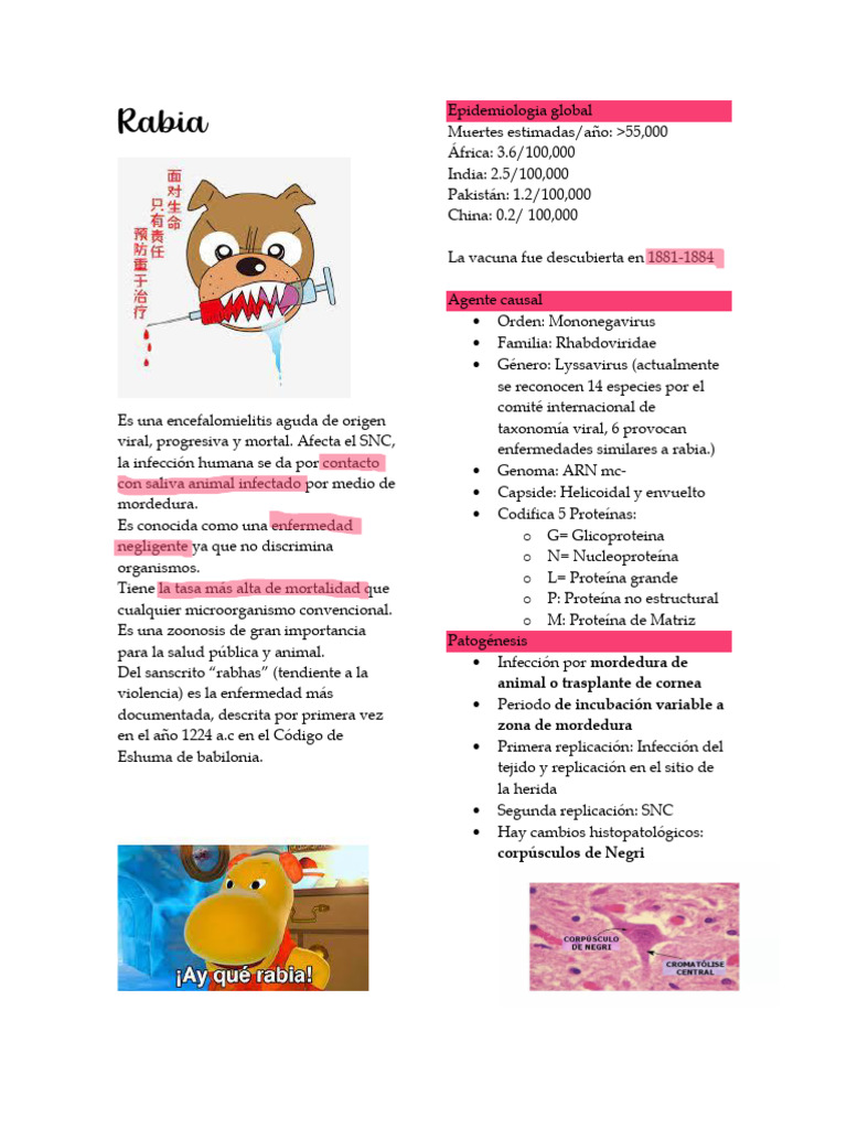Rabia | PDF | Rabia | Medicina CLINICA