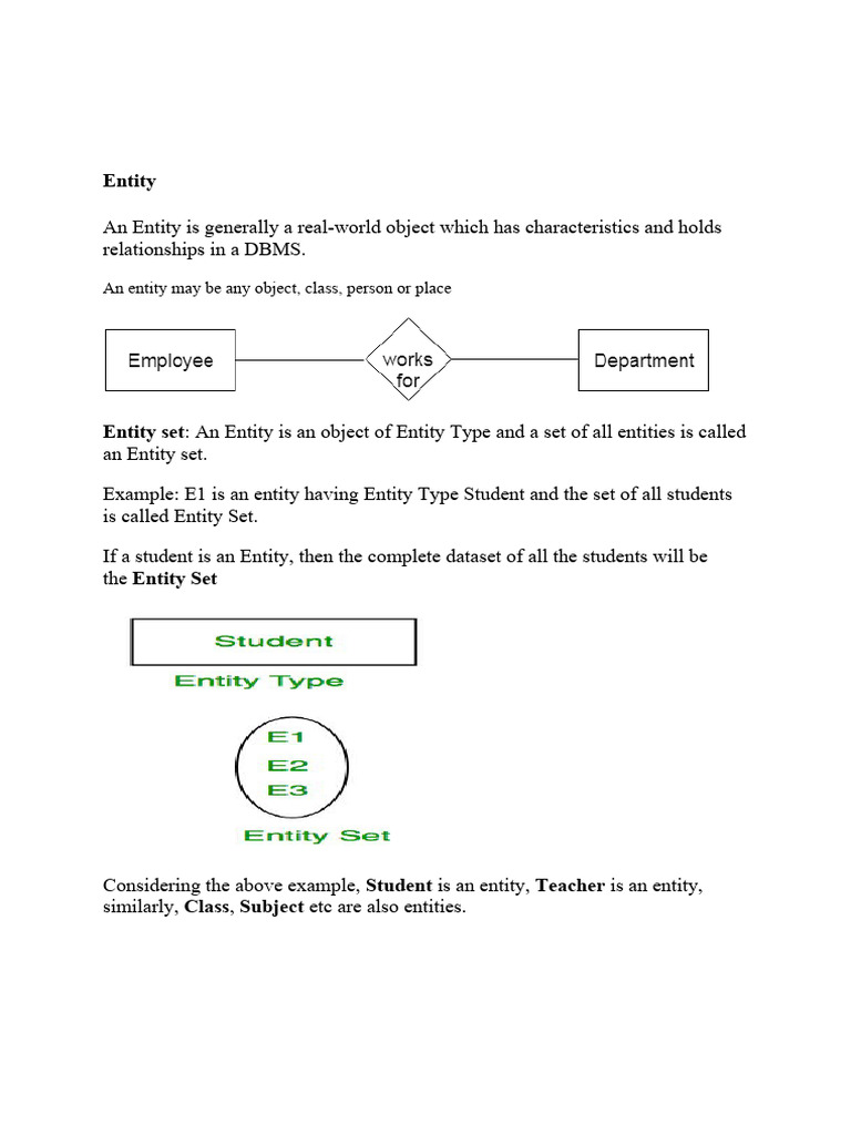 Entity and Entity Set Manuals | PDF | Computer Programming | Computing