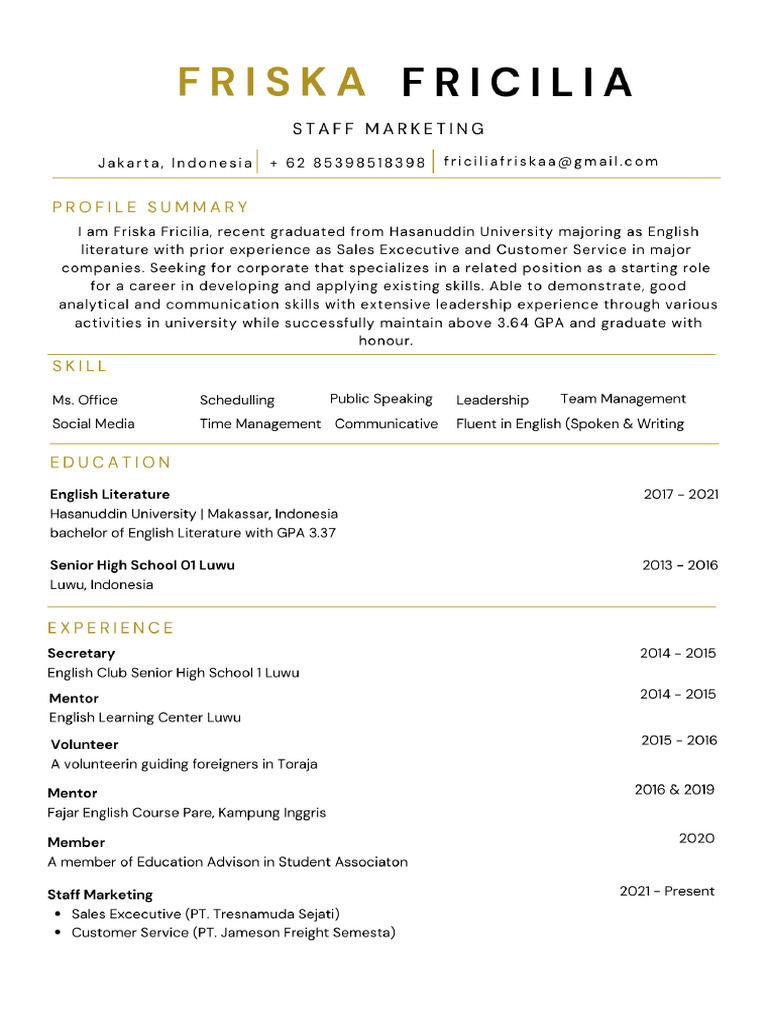 White Gold Elegant Minimalist ATS Data Analyst Resume CV A4 Printable | PDF