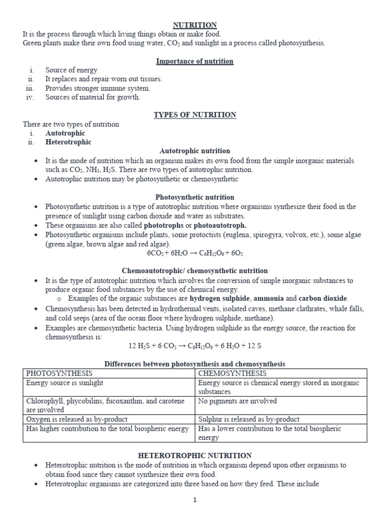 Food and Nutrition NOTES | Download Free PDF | Stomach | Dental Anatomy