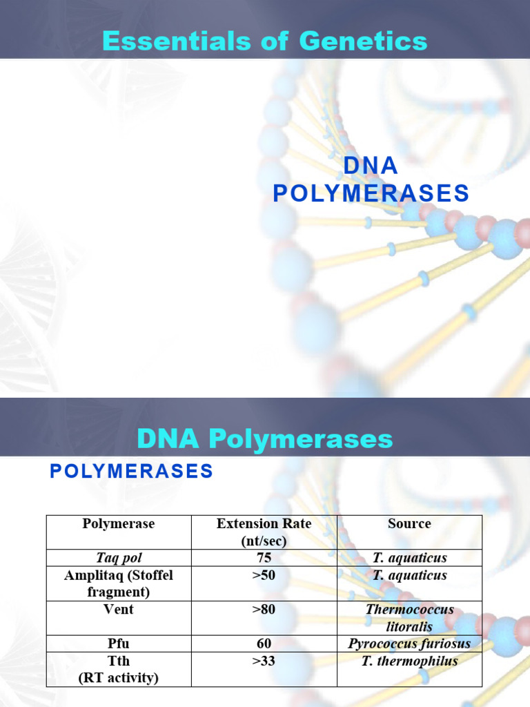 Lesson 5 - DNA Polymerases | PDF