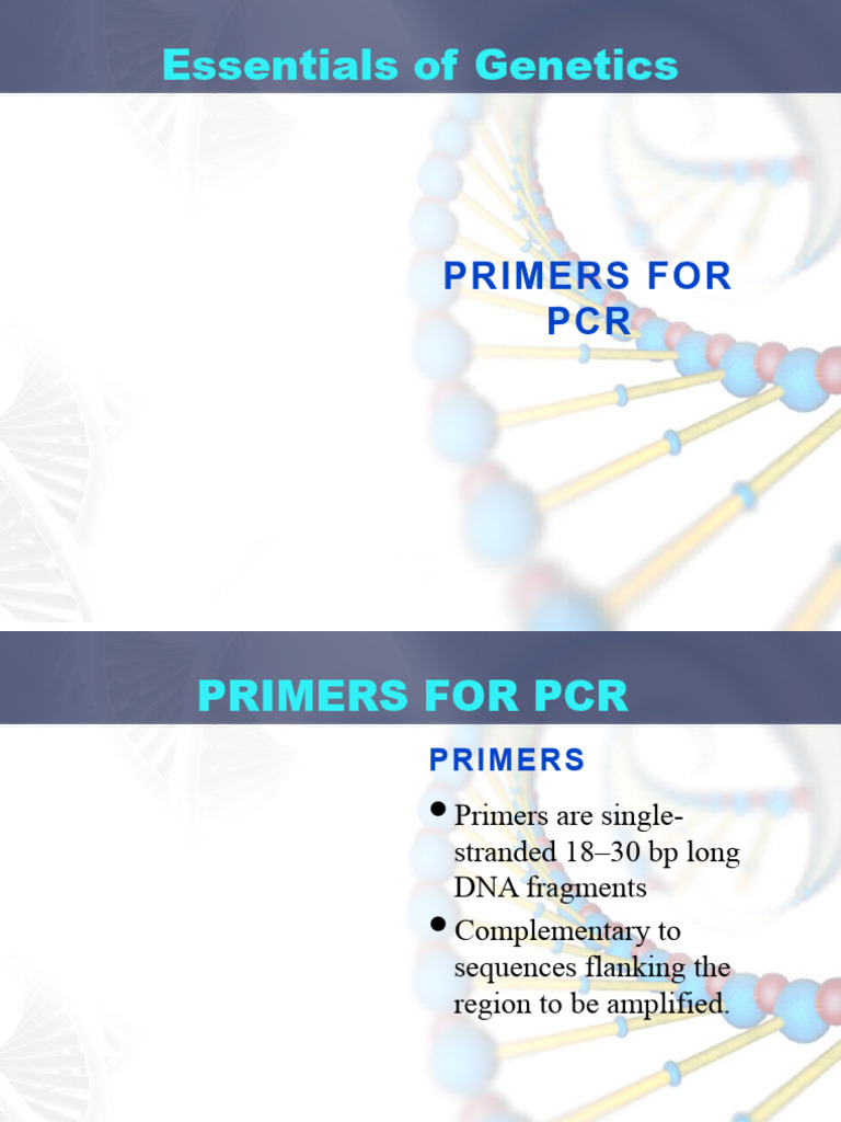 Lesson 4_Primers for PCR | PDF