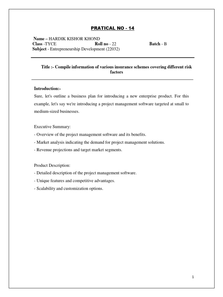 Pratical No 14 Edp HKK | PDF | Business Plan | Feasibility Study