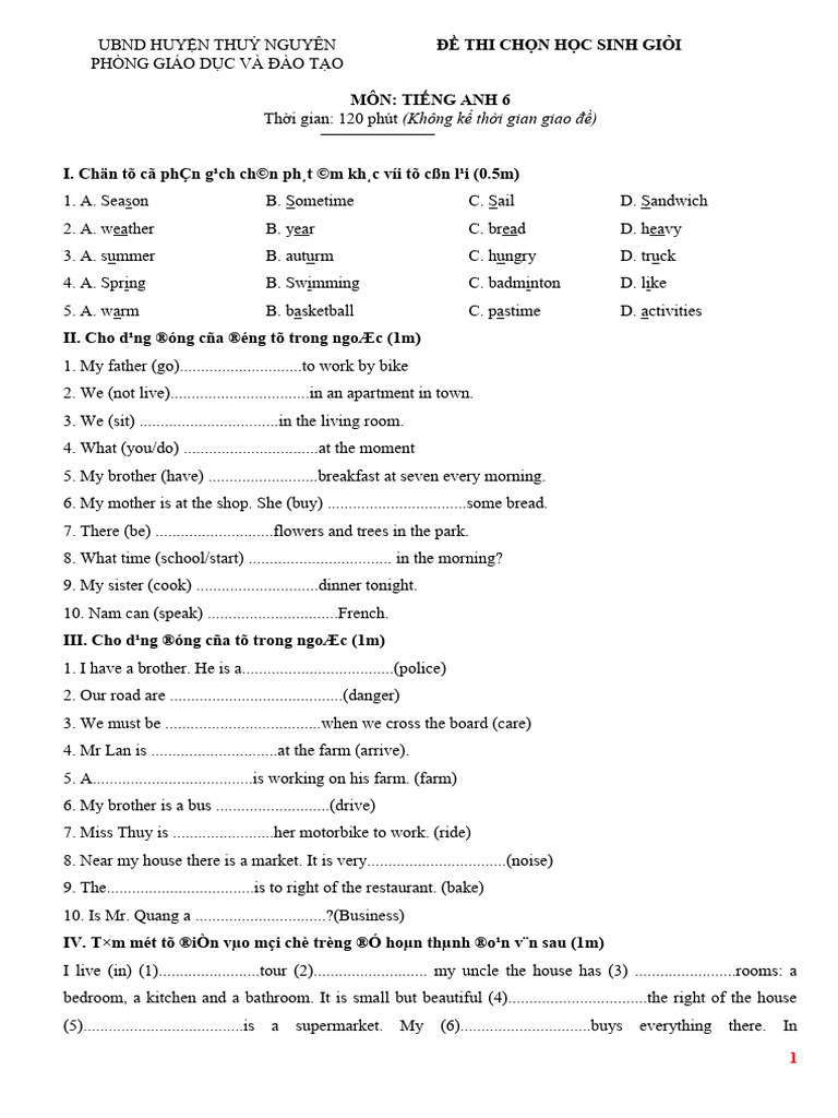 Bo de On Thi HSG Tieng Anh Lop 6 | PDF | Meal | Waste