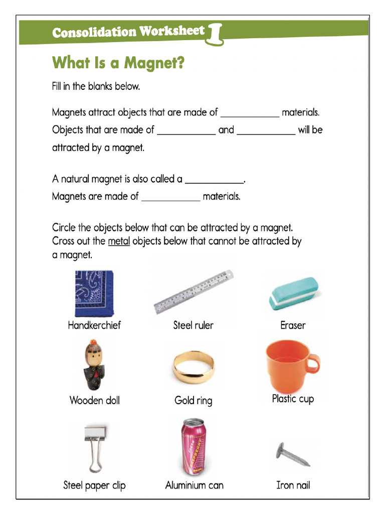 Magnetism Worksheet | PDF