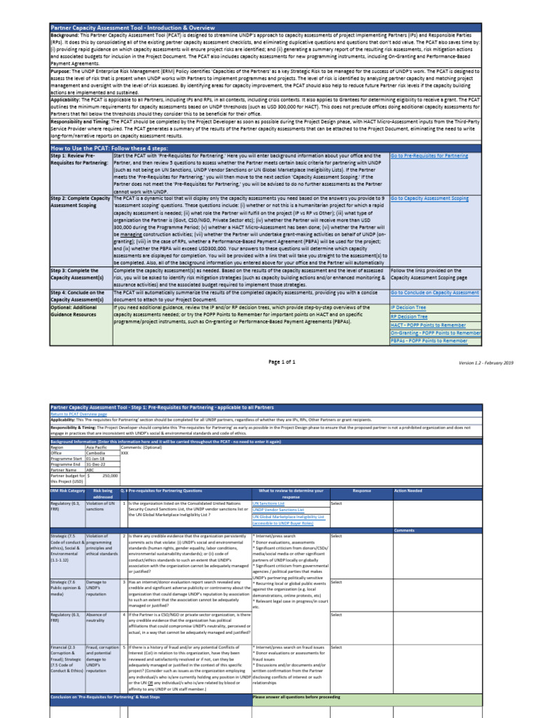 Partner Capacity Assessment Tool | PDF | United Nations Development ...