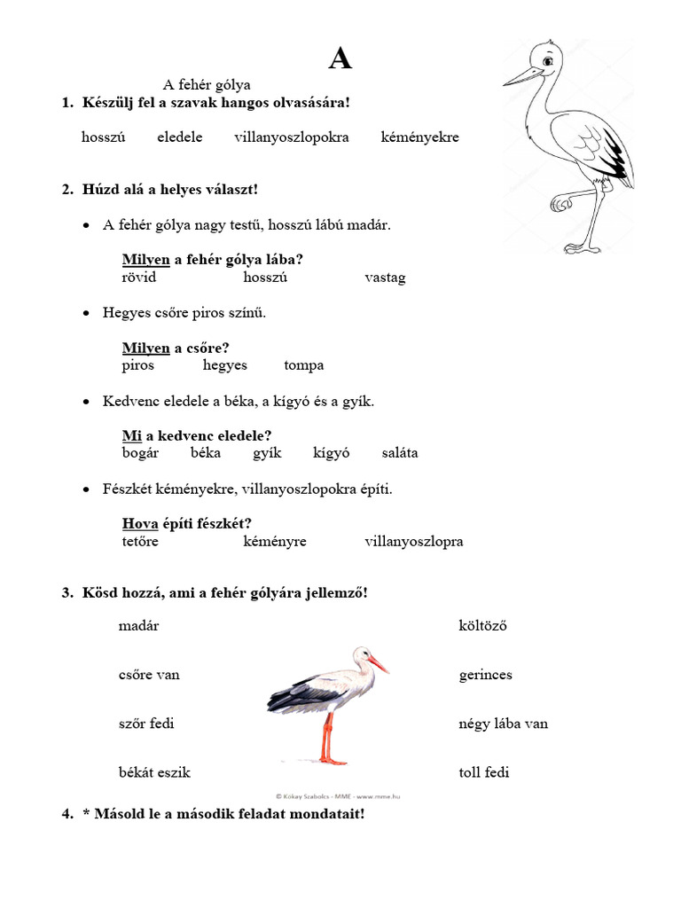 Gólya Feladatlap | PDF