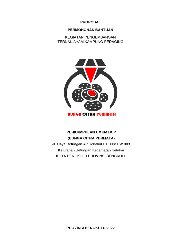 Proposal UMKM Bunga Citra Permata | PDF