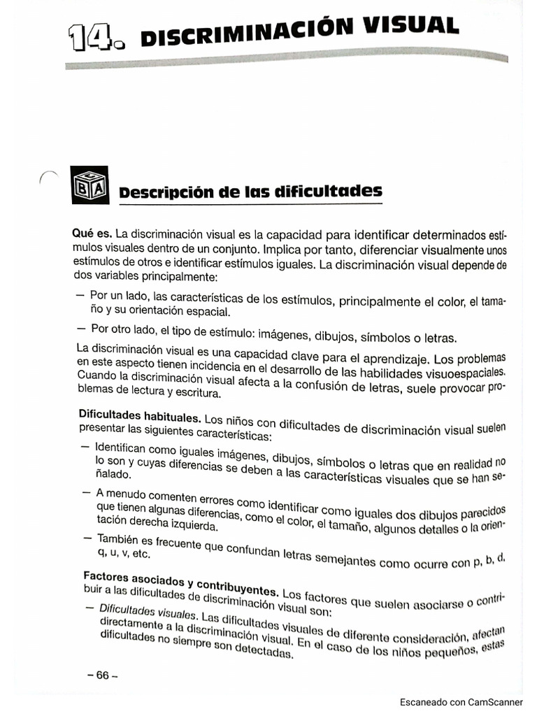 Discriminación Visual | PDF
