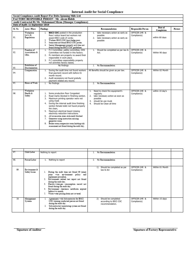 Internal Audit Delta Spinning Mills LTD | PDF | Audit | Labor Relations