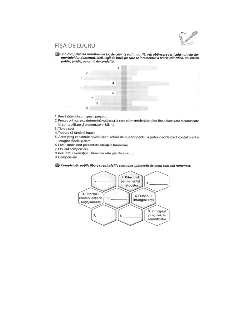 Fisa de Lucru Principii Contabile | PDF