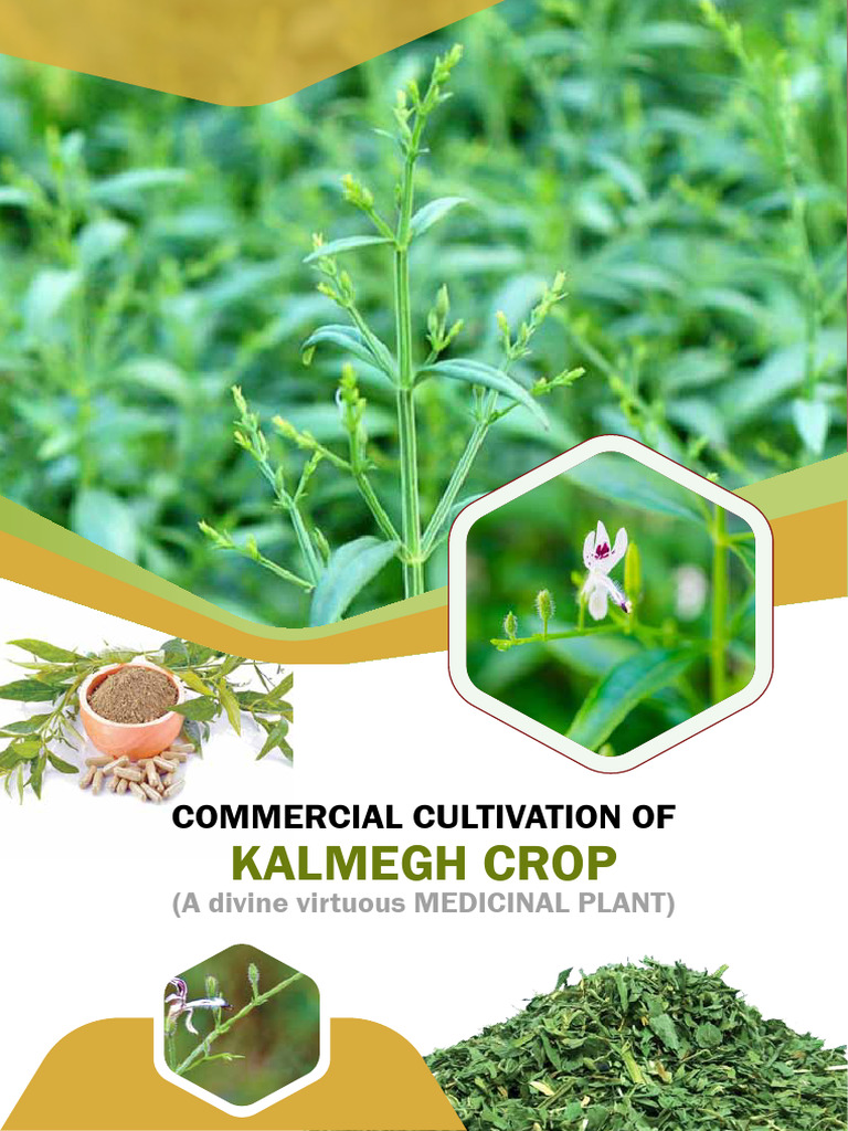 Kalmegh - 4 Months | PDF | Agriculture | Soil