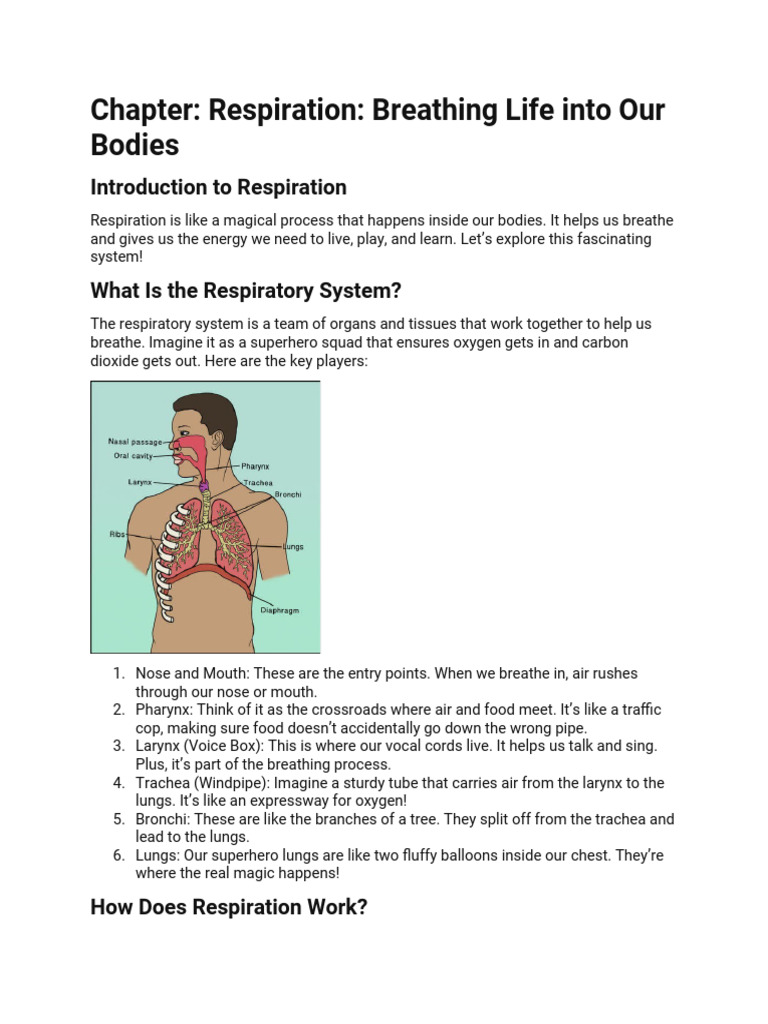 Chapter - Respiration - Breathing Life Into Our Bodies | PDF ...