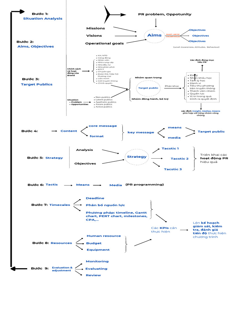 Situation Analysis: PR Problem, Oppotunity | PDF