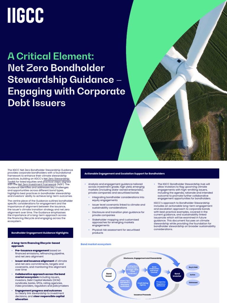 IIGCC-Net-Zero-Stewardship-Guidance | PDF | Bonds (Finance ...